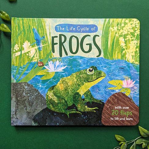 Life-Cycle Books - Frogs